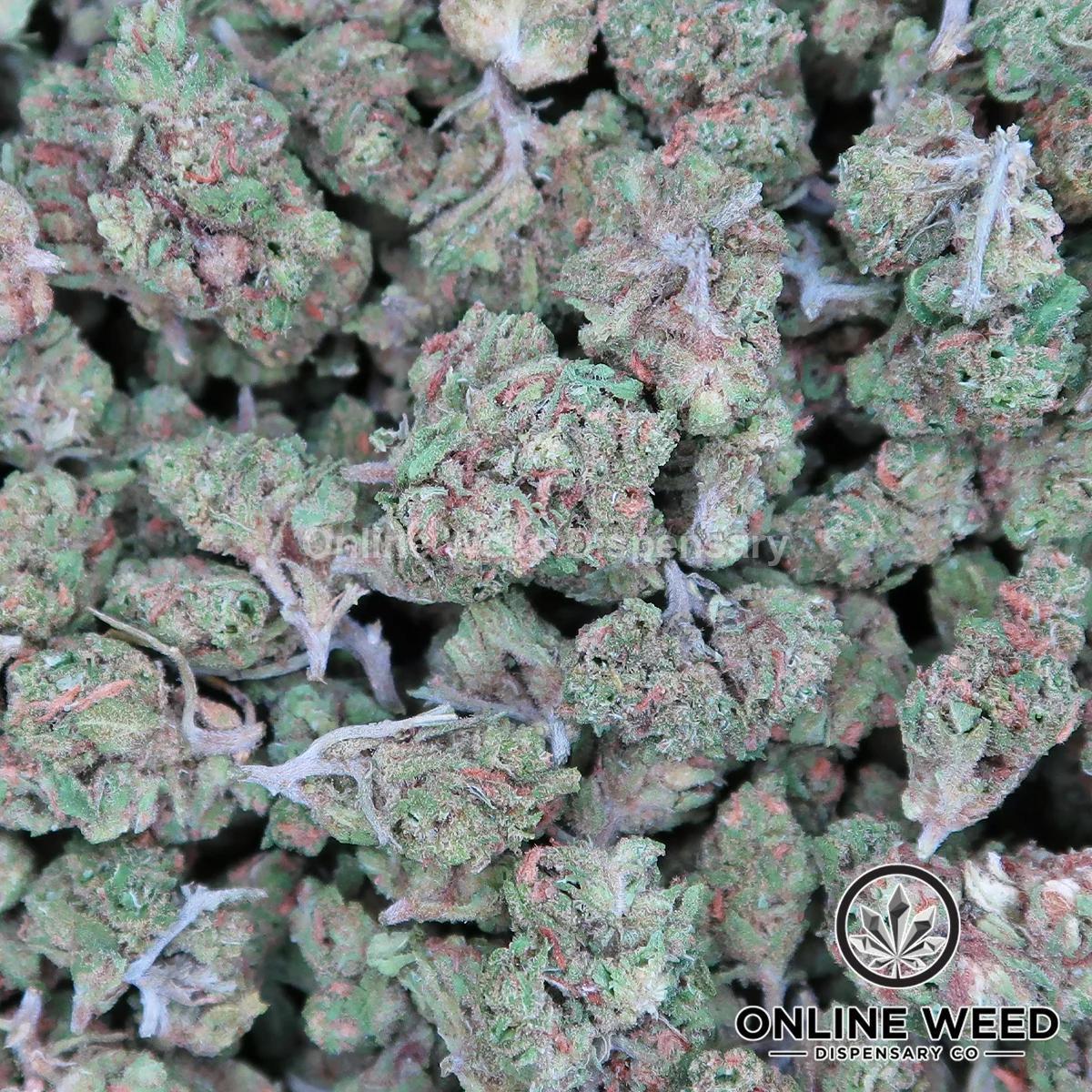 Buy Blue Dream (Small Buds) OZ Only Deal Online - OWD