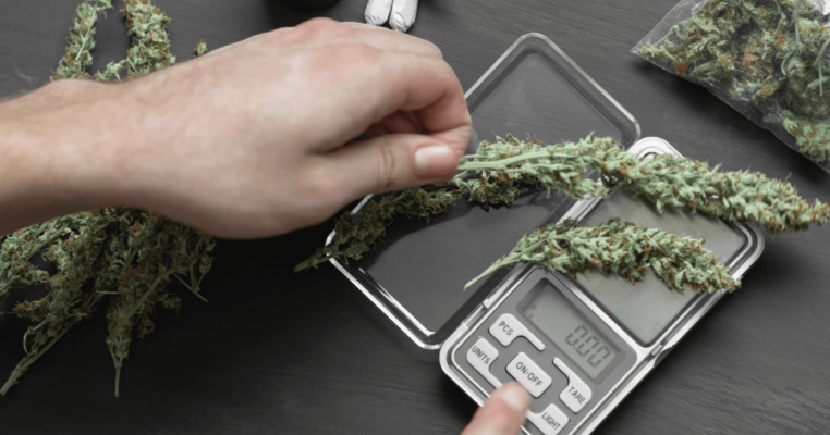 Cannabis Measurements: What Does A Gram Of Weed Look Like?