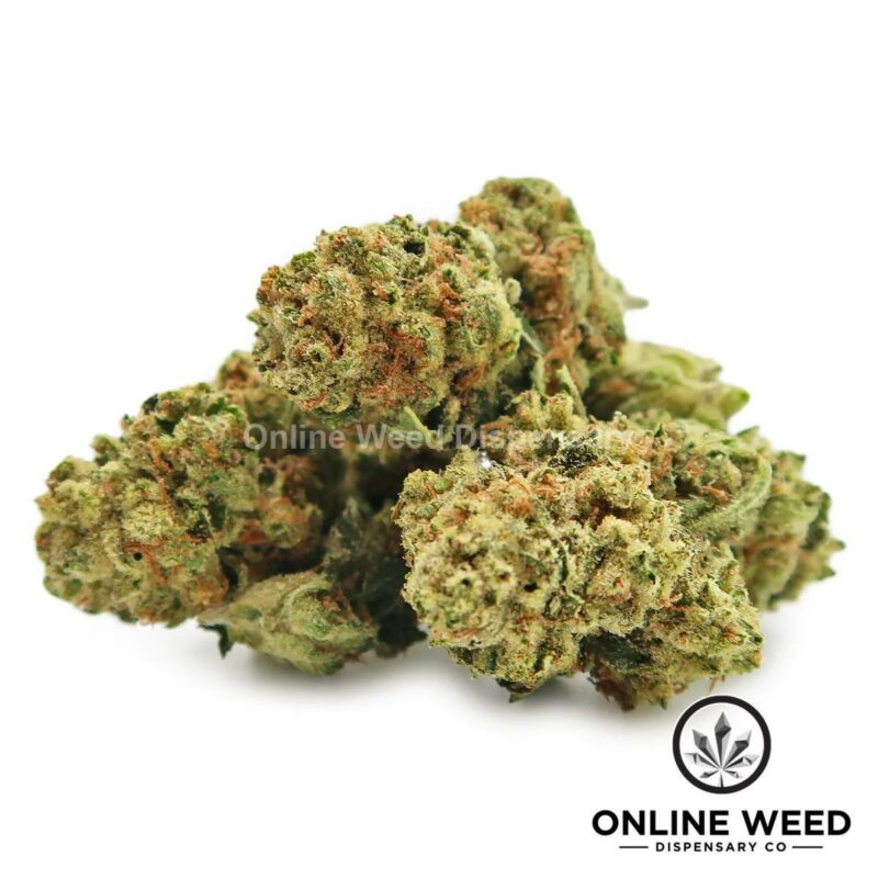 Buy Alien OG (Value Bud) Online - OWD