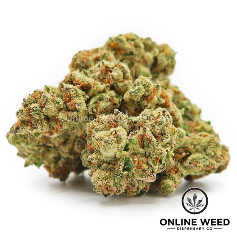 Buy Mimosa Punch (Value Bud) Online - OWD