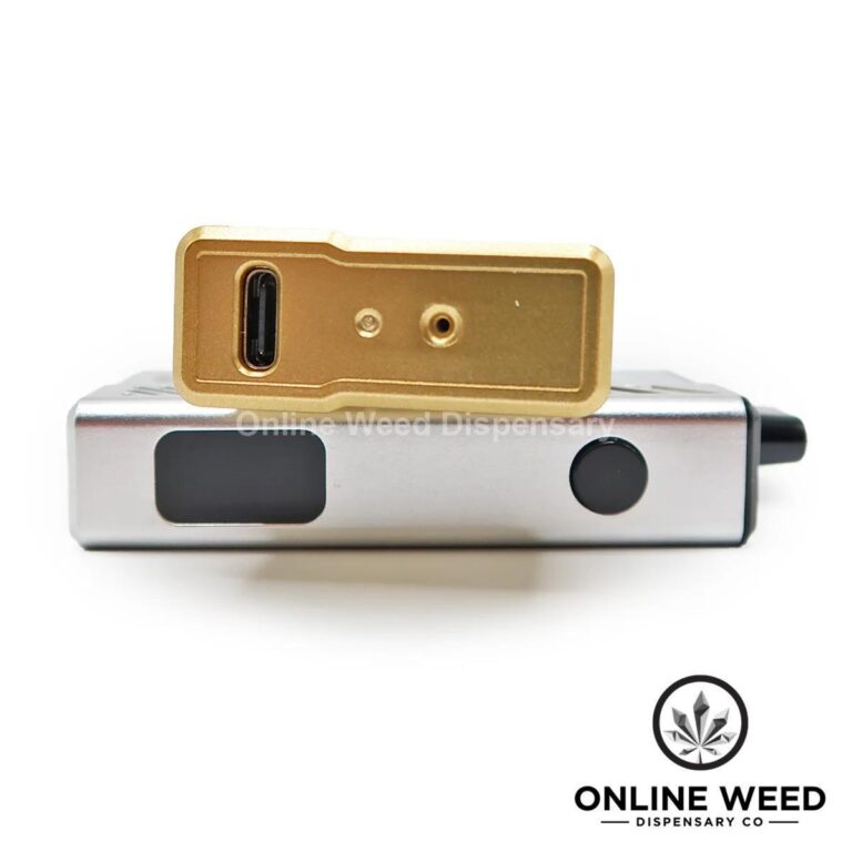 Buy Blinkers 3.5g THC Distillate Disposables - Black Mamba Online - OWD