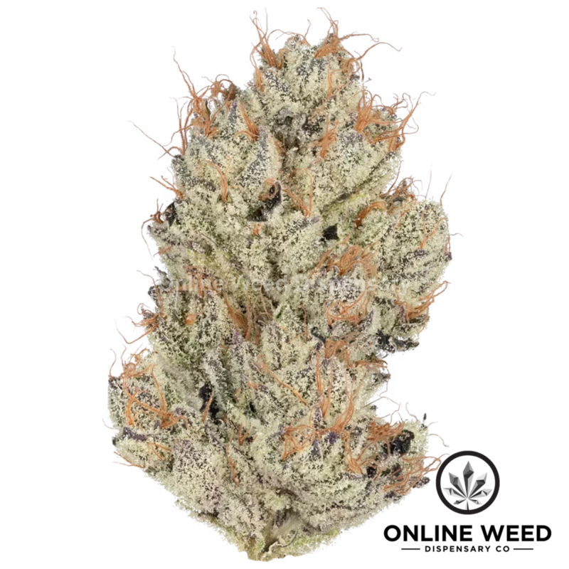 Buy CBX Cannabiotix Flower 3.5g - Blue Crush (Premium Bud) Online - OWD