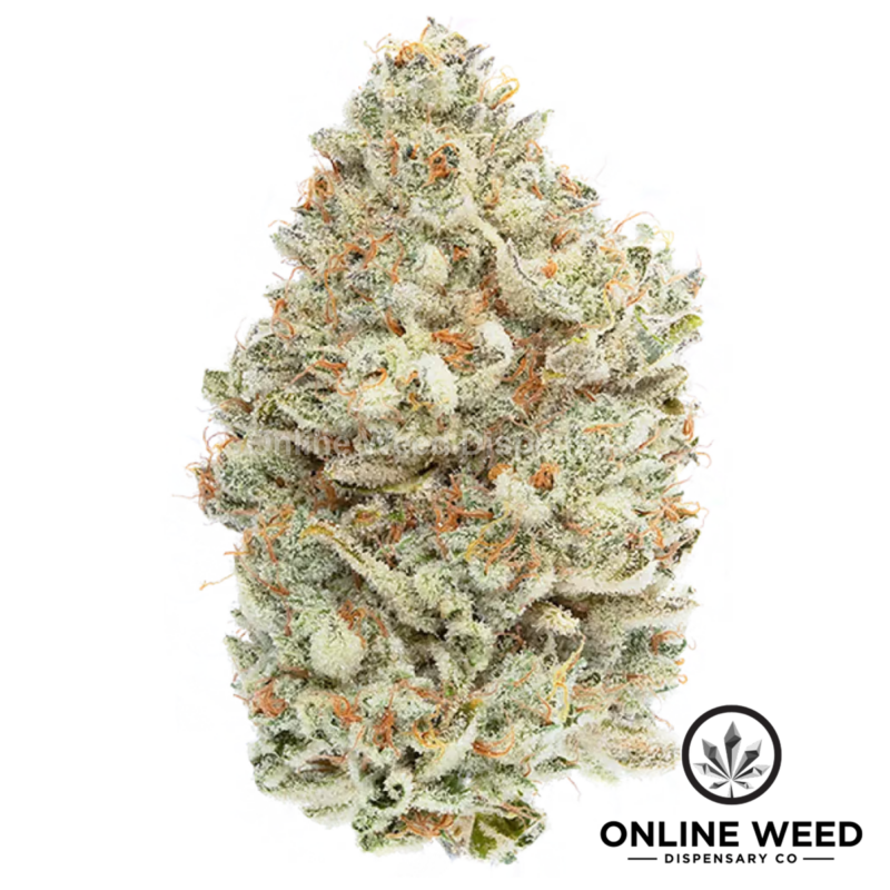 Buy CBX Cannabiotix Flower 3.5g- Cereal Milk (Premium Bud) Online - OWD