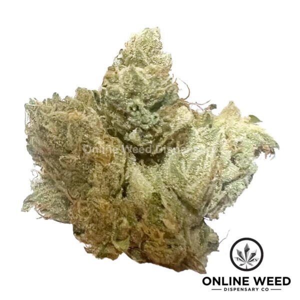Buy CBX Cannabiotix Flower 3.5g- Grand Master (Premium Bud) Online - OWD