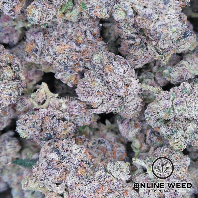 Buy Cherry Diesel (Exotic Reserve Strain) Online - OWD