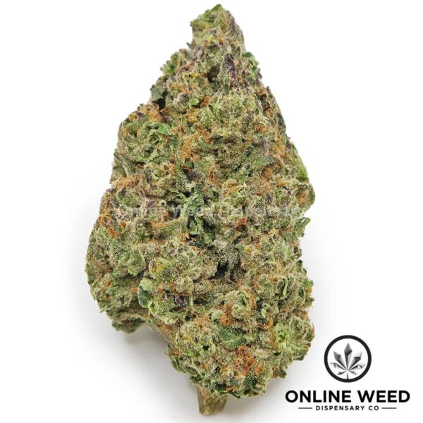 Buy Sour Cherry Sherbert (Value Bud) Online - OWD