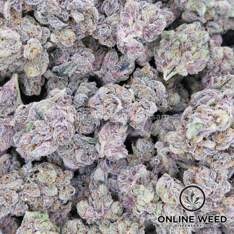 Buy Zebra Ztripez (Exotic Strain) Online - OWD
