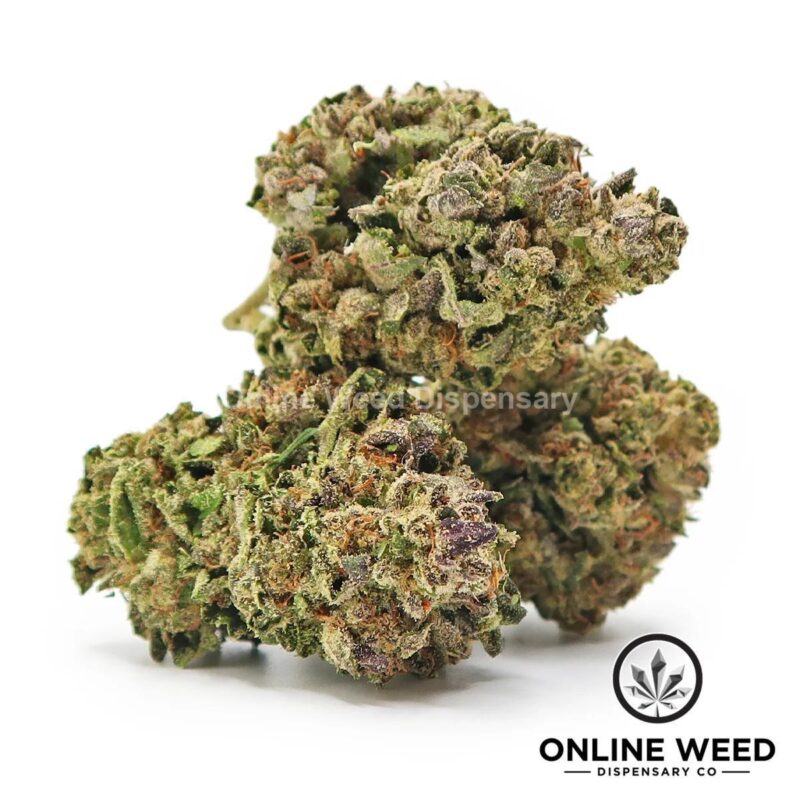 Buy Lemon Cherry Haze (Value Bud) Online - OWD