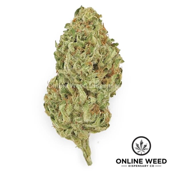 Buy Super Cheese (Value Bud) Online - OWD