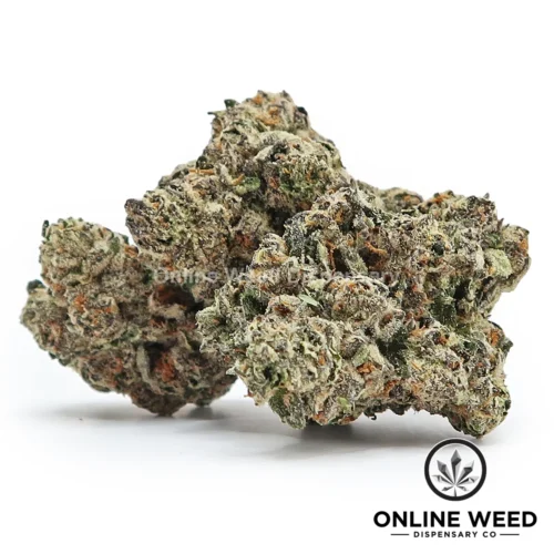 Buy Red Bull (Exotic Reserve Strain) Online - OWD
