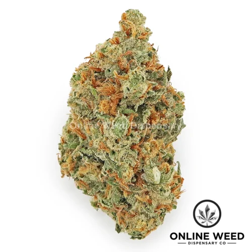 Buy Super Lemon Haze (Exotic Reserve Strain) Online - OWD