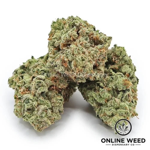Buy Super Silver Haze (Exotic Reserve Strain) Online - OWD