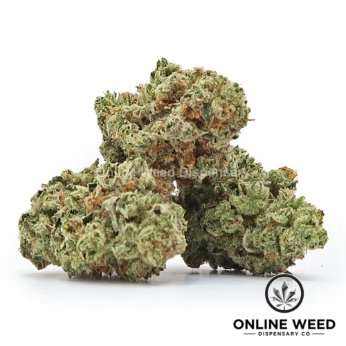 Buy Super Silver Haze (Exotic Reserve Strain) Online - OWD