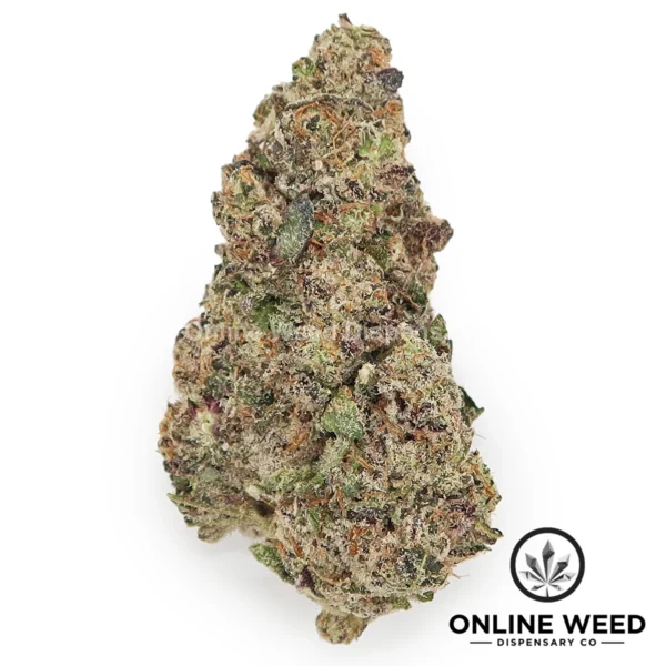 Buy Donnie Burger (Top Shelf Bud) Online - OWD