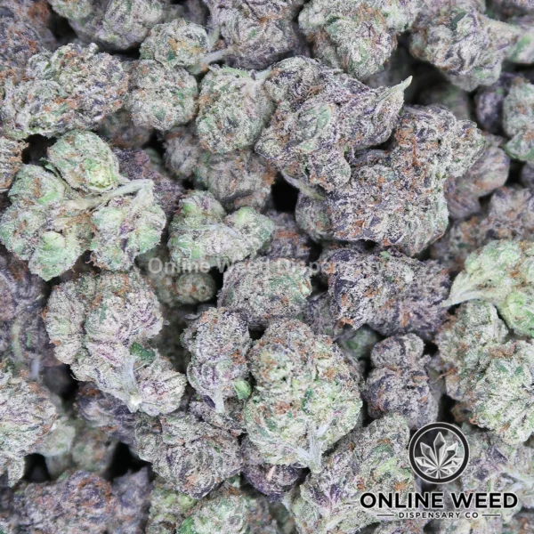 Buy Galactic Runtz (Exotic Bud) Online - OWD