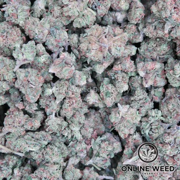 Buy Sour Tangie (Small Buds) Ounce Deal Online - OWD